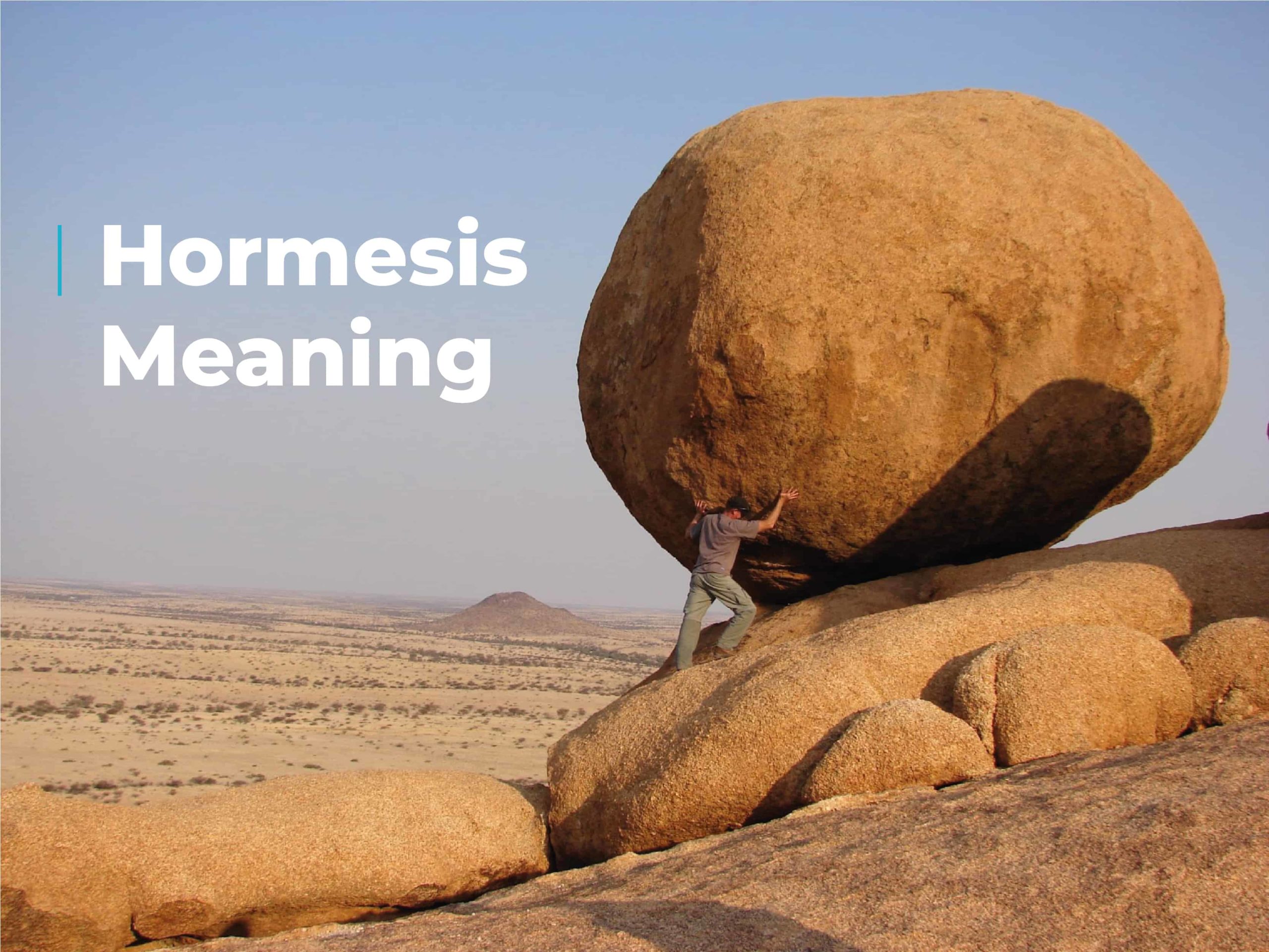 Hormesis Meaning – Using Stress to Make You Stronger - Restoring Balance