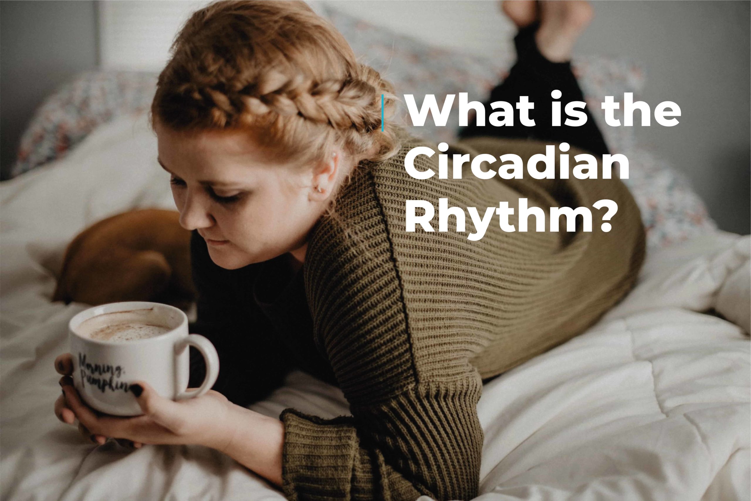 What Is the Circadian Rhythm? - Restoring Balance